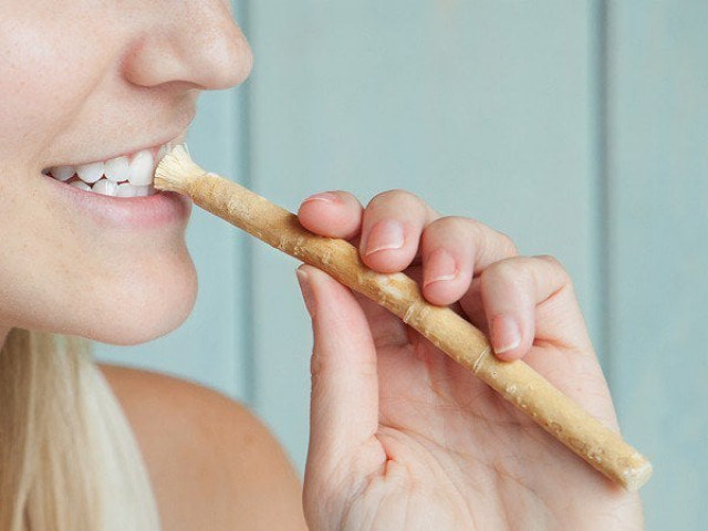 4 Microplastic Free Toothbrushes with Only Natural Bristles